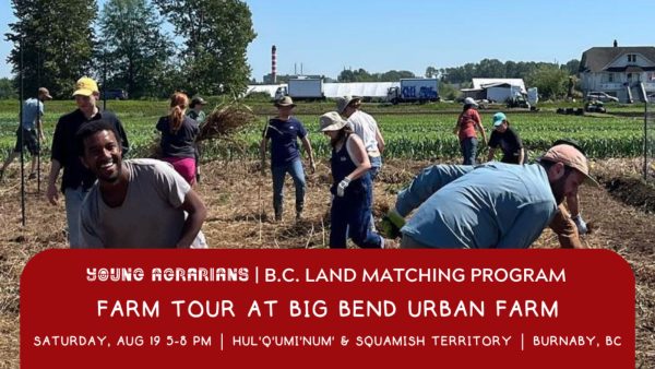 Farm Tour at Big Bend Urban Farm in Burnaby, B.C. - Organic BC