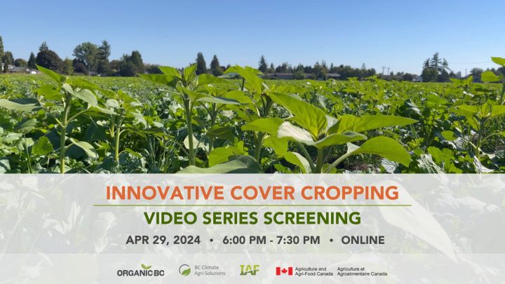 Innovative Cover Cropping Video Series Screening - Organic BC