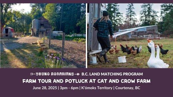JUNE 28, 2025: COURTENAY, BC – Farm Tour and Potluck at Cat and Crow ...