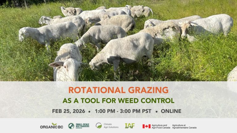 Rotational Grazing as a Tool for Weed Control - Organic BC